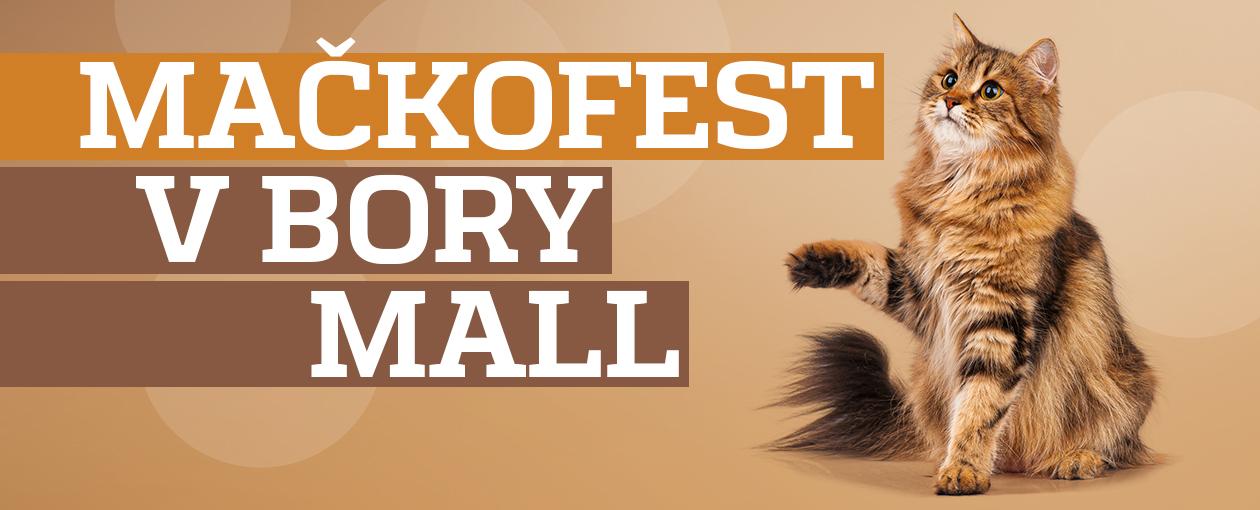 Bory mall - shopping center | CAT FEST IN BORY MALL
